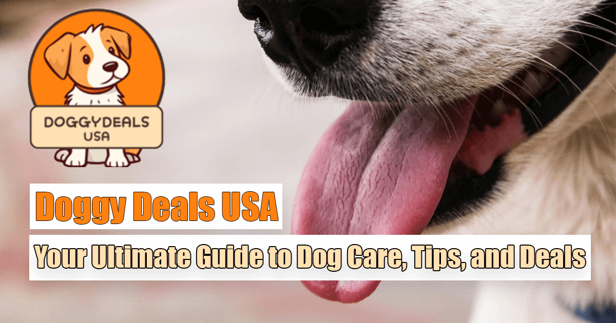 Doggy Deals USA - The Ultimate Guide to Dog Care: Tips, Products